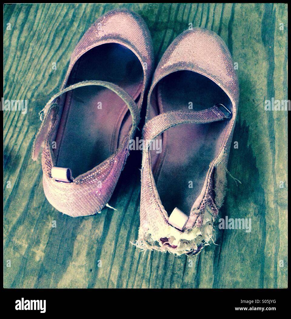 Dog chewed shoes hi-res stock photography and images - Alamy