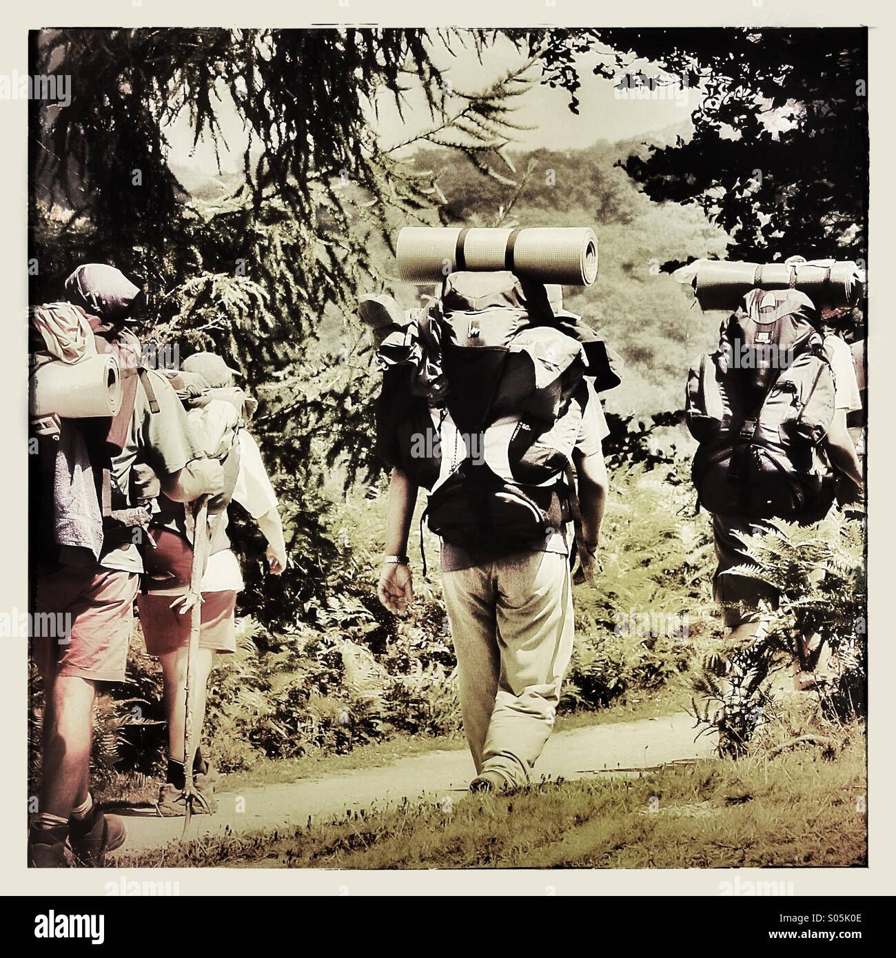 Walker walkers walking hi-res stock photography and images - Alamy