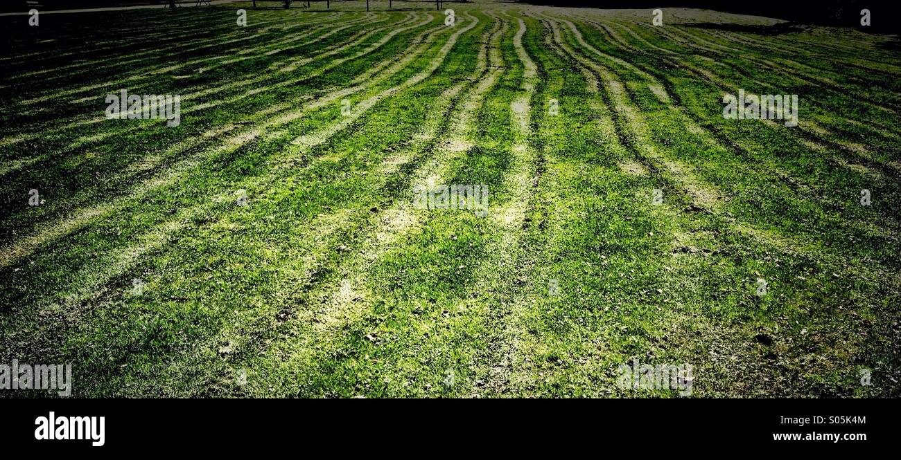 Lines in mown grass Stock Photo - Alamy