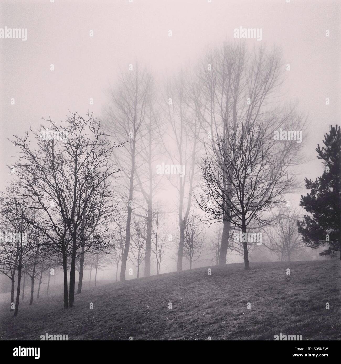 Fog bath hi-res stock photography and images - Alamy