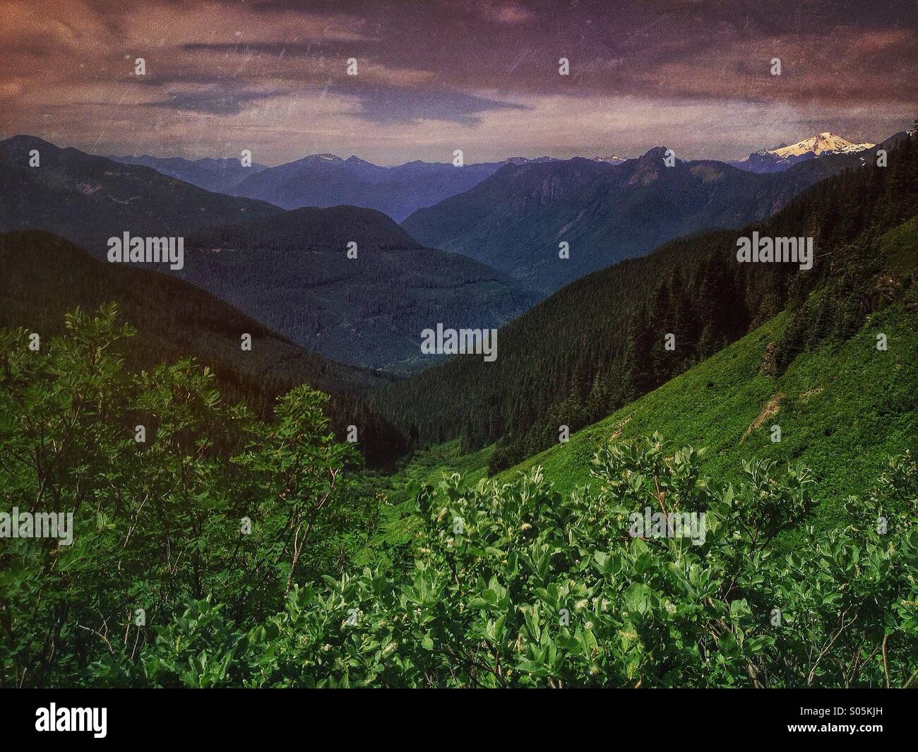 Hidden meadows hi-res stock photography and images - Alamy