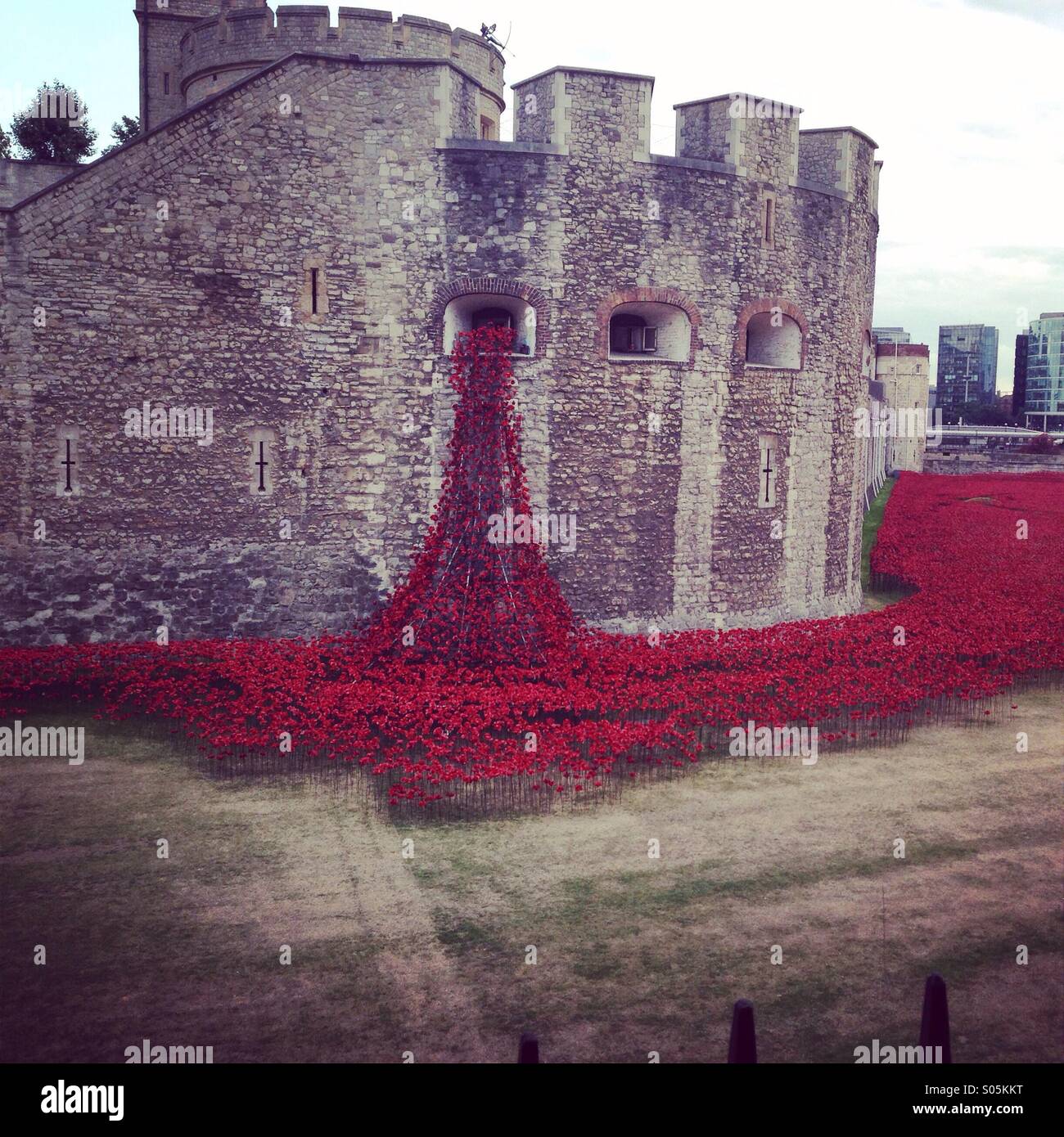 Tower Of London Poppy High Resolution Stock Photography and Images - Alamy