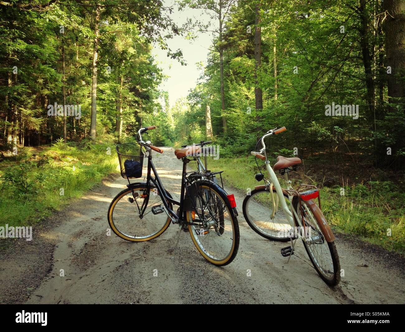 Two bikes standing on the forest road Stock Photo - Alamy