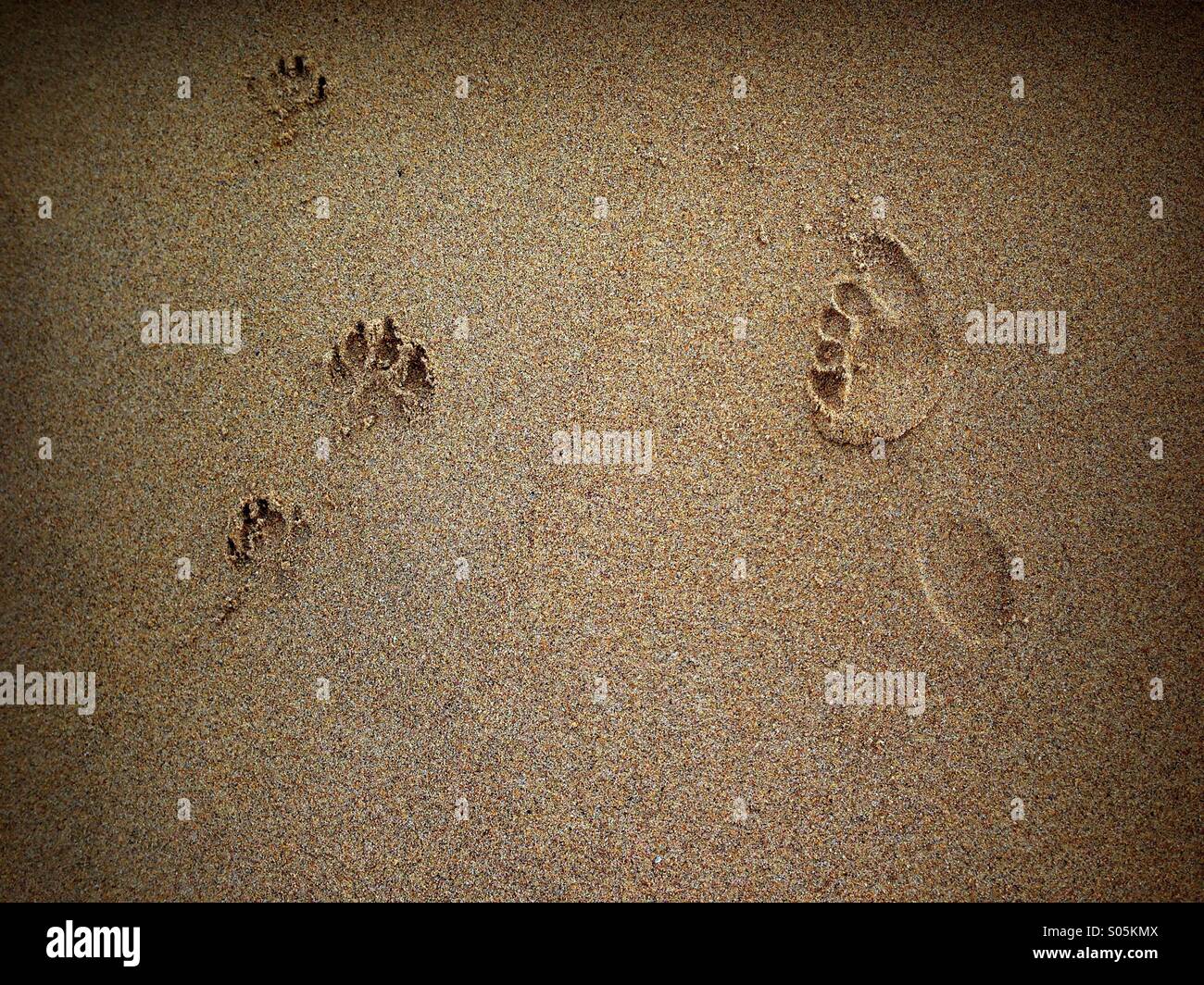 Mans footprints hi-res stock photography and images - Alamy