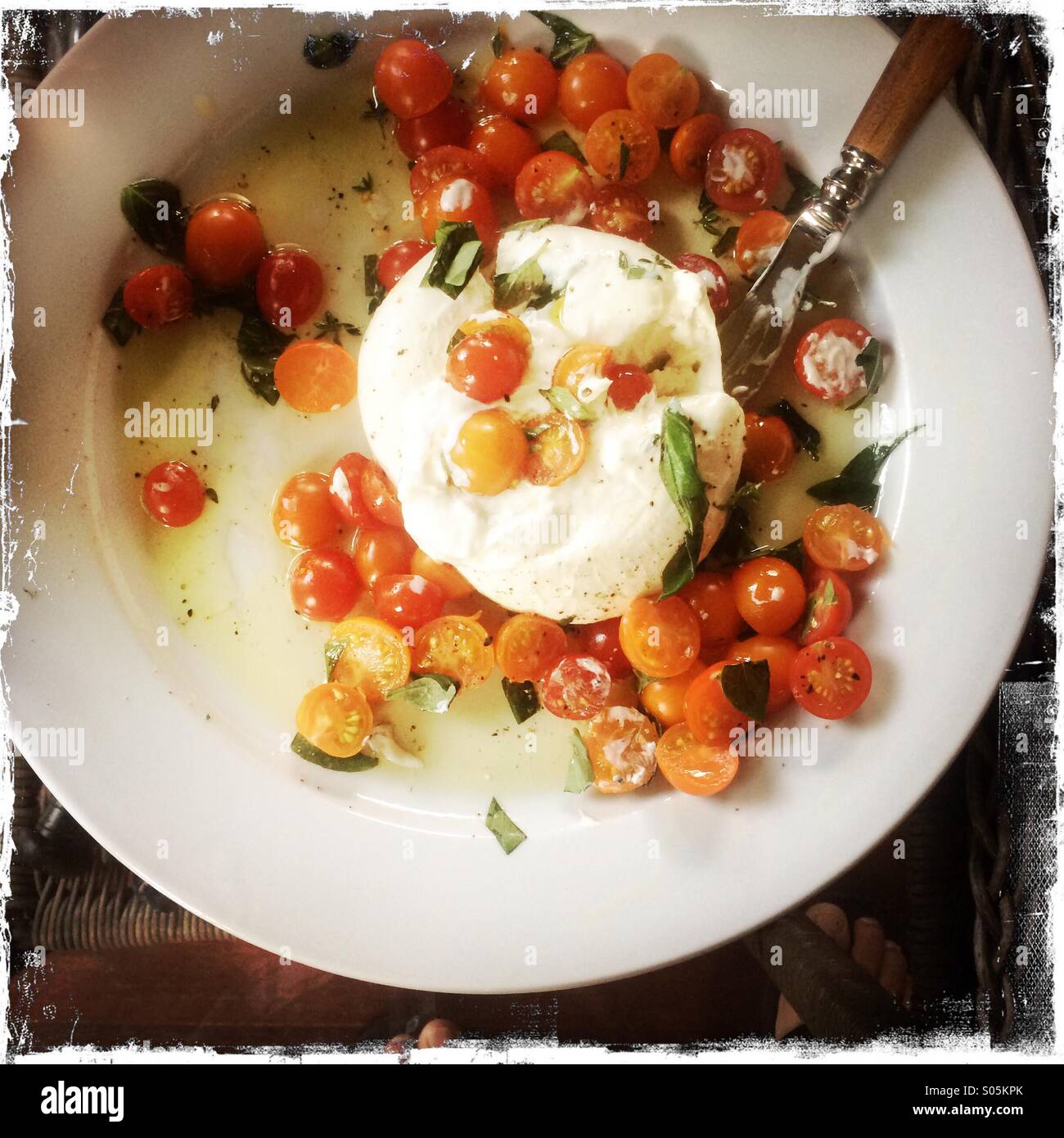 Cheese tomato appetizer Stock Photo - Alamy