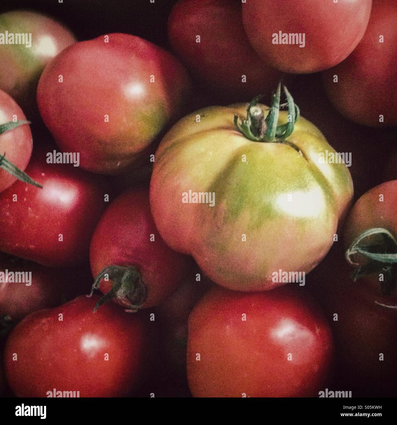 Organic tomatoes. Ecological tomatoes; summer outdoor farmer's market ...