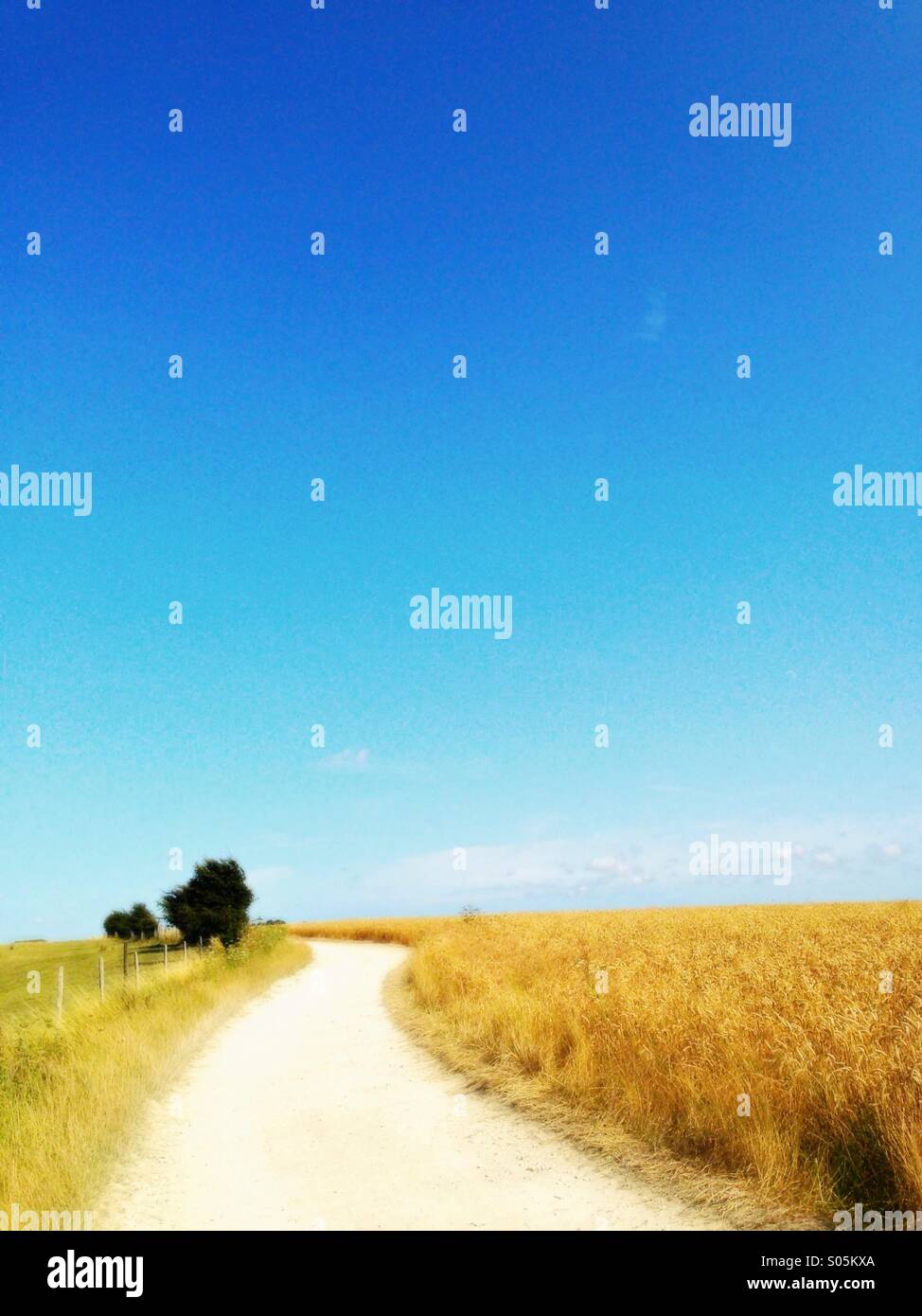 The way ahead hi-res stock photography and images - Alamy
