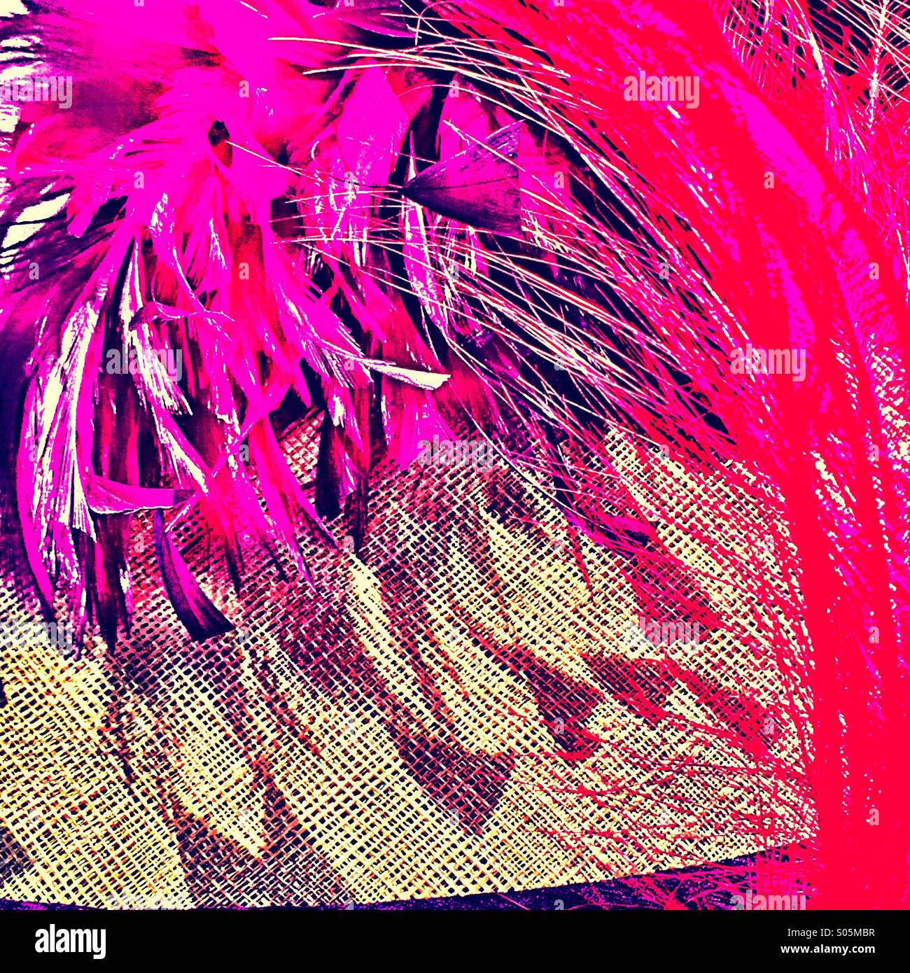 Pretty shadows hi-res stock photography and images - Alamy