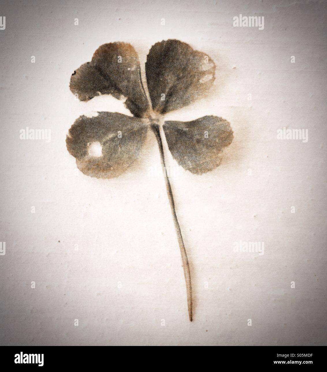 Broken Clover High Resolution Stock Photography and Images - Alamy