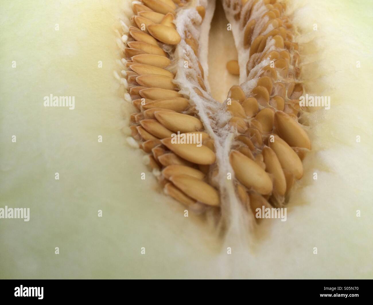 Melon seeds hi-res stock photography and images - Alamy