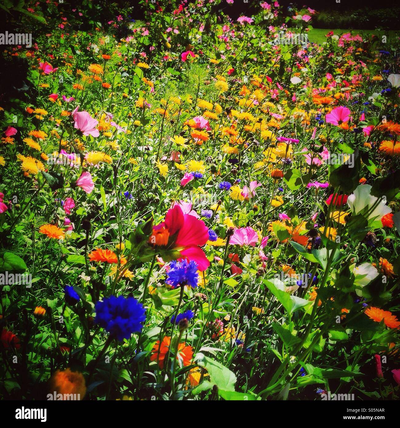 Full colour color hi-res stock photography and images - Alamy