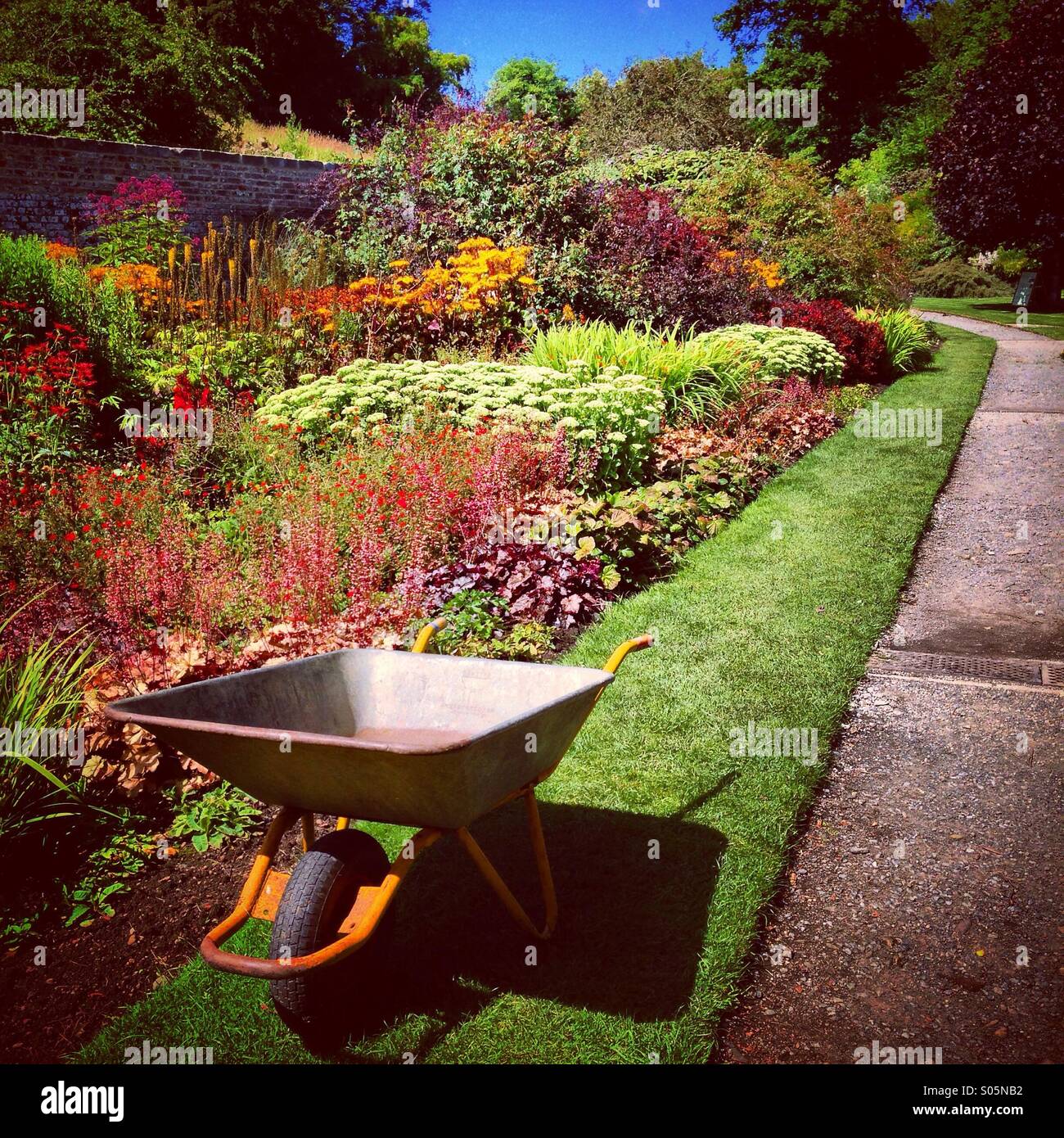 Wheelbarrow beside a summer herbaceous border Stock Photo - Alamy
