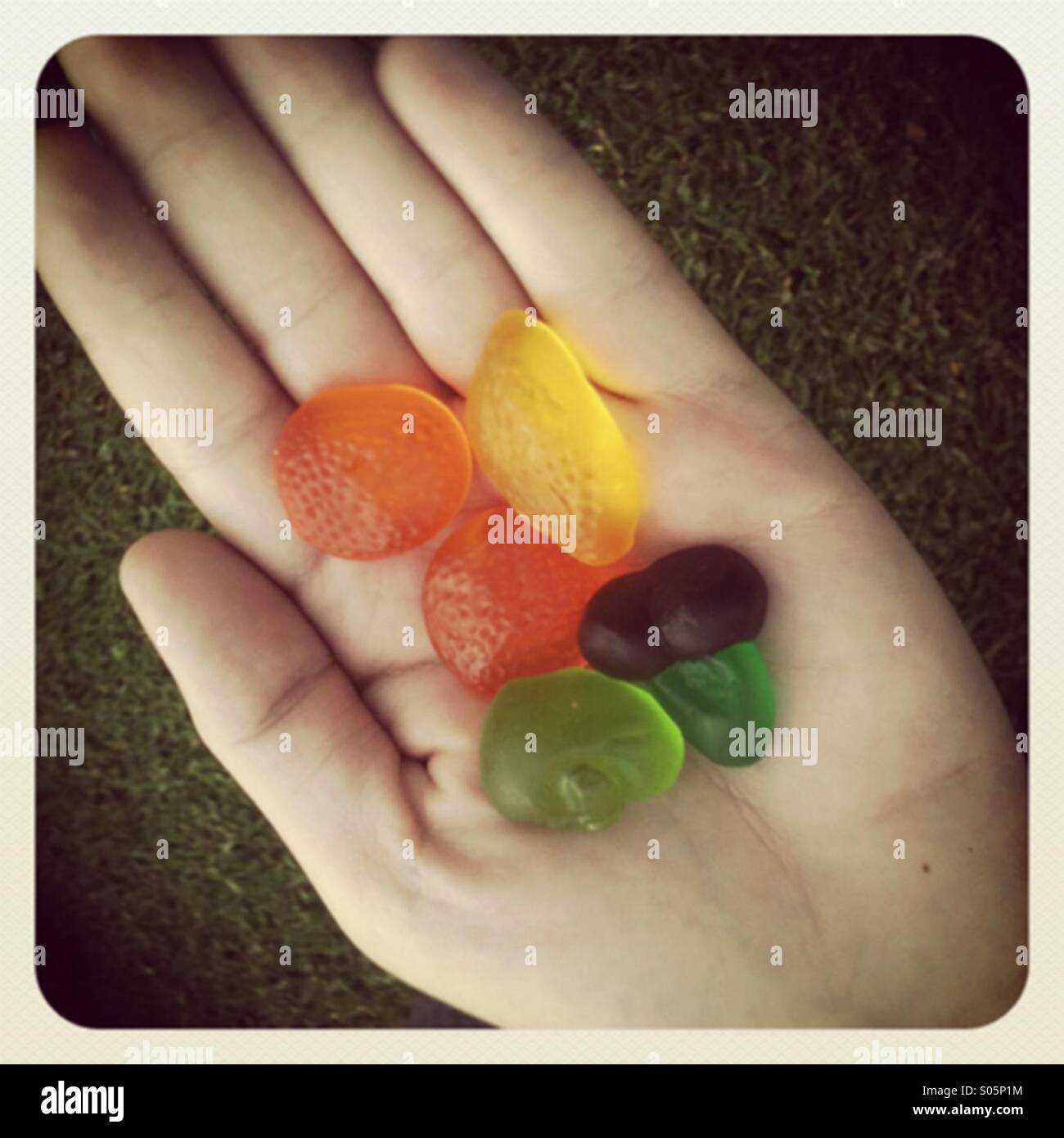 Gumi sweet in a female hand Stock Photo - Alamy