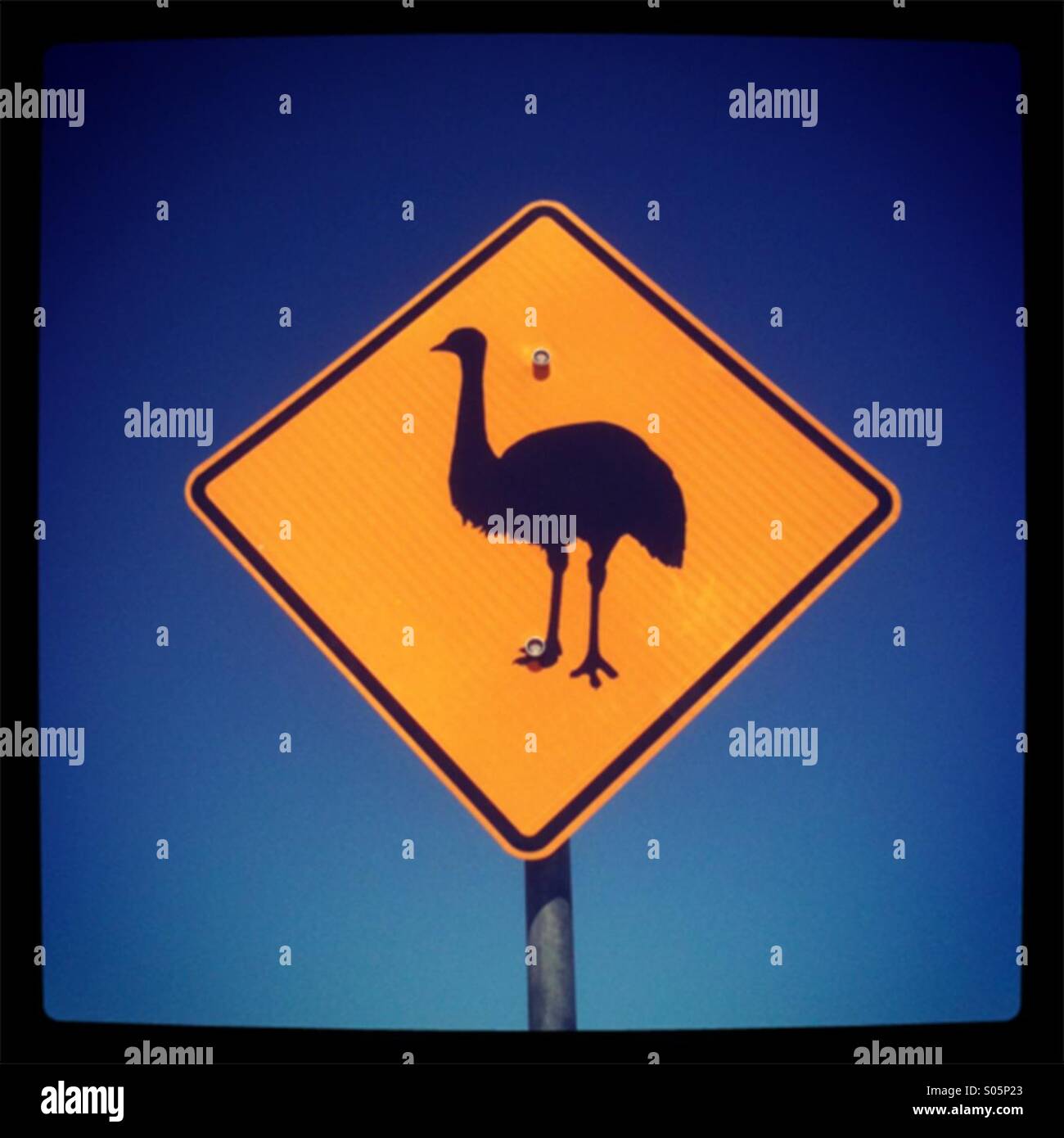 Ostrich warning sign against a blue sky in Australia Stock Photo - Alamy