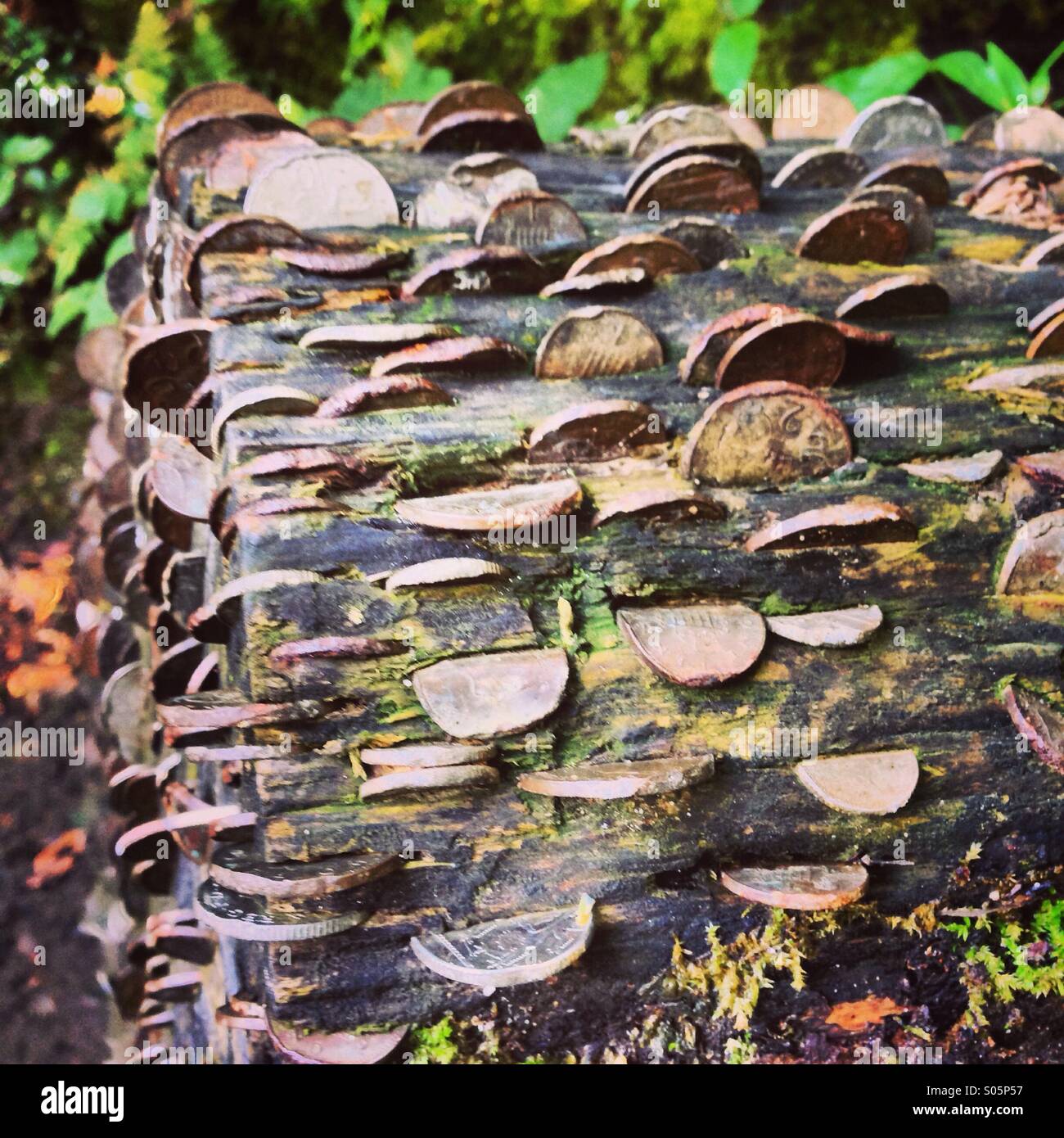 Coin log hi-res stock photography and images - Alamy
