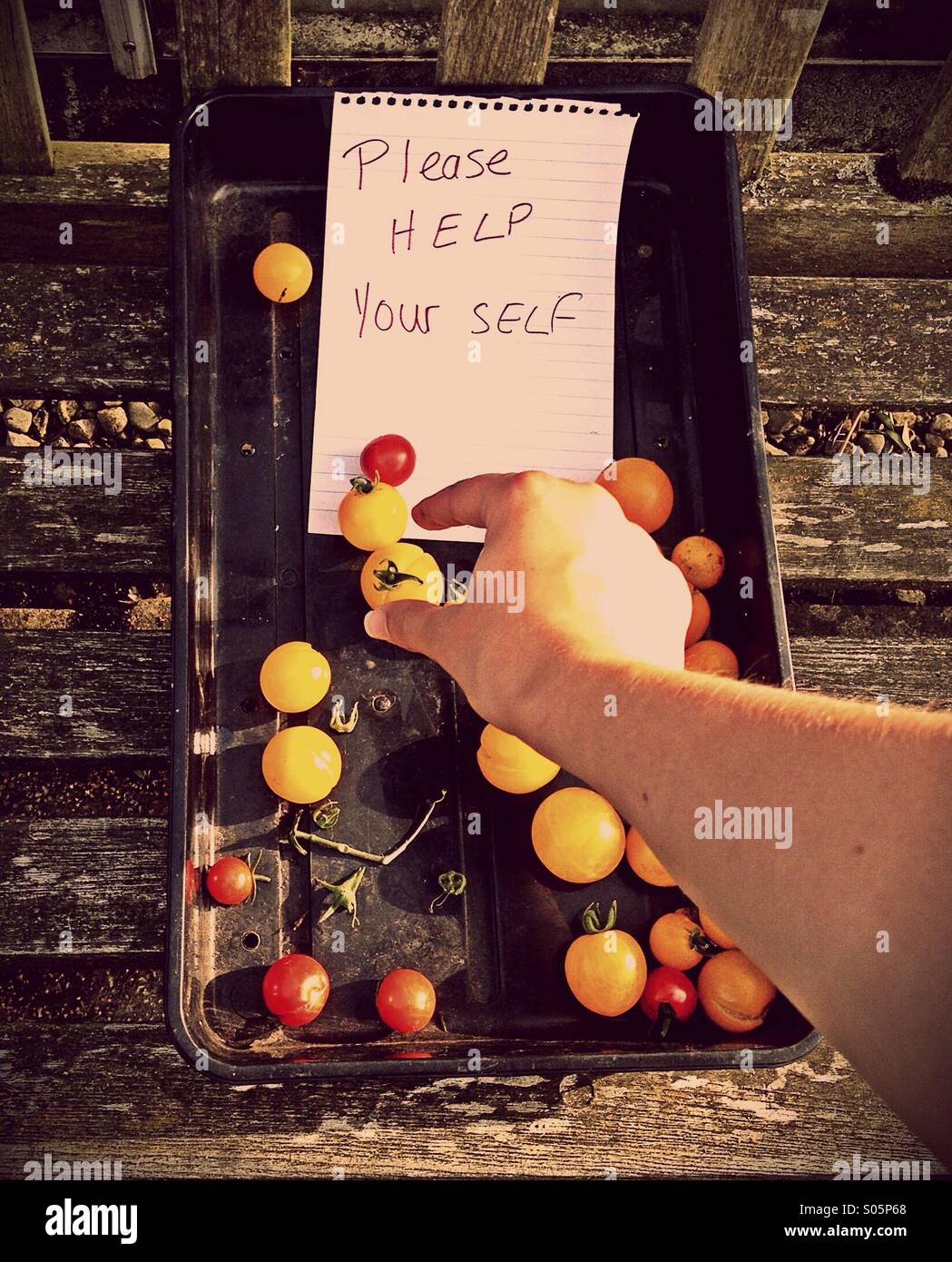Please help yourself sign on tomatoes Stock Photo - Alamy