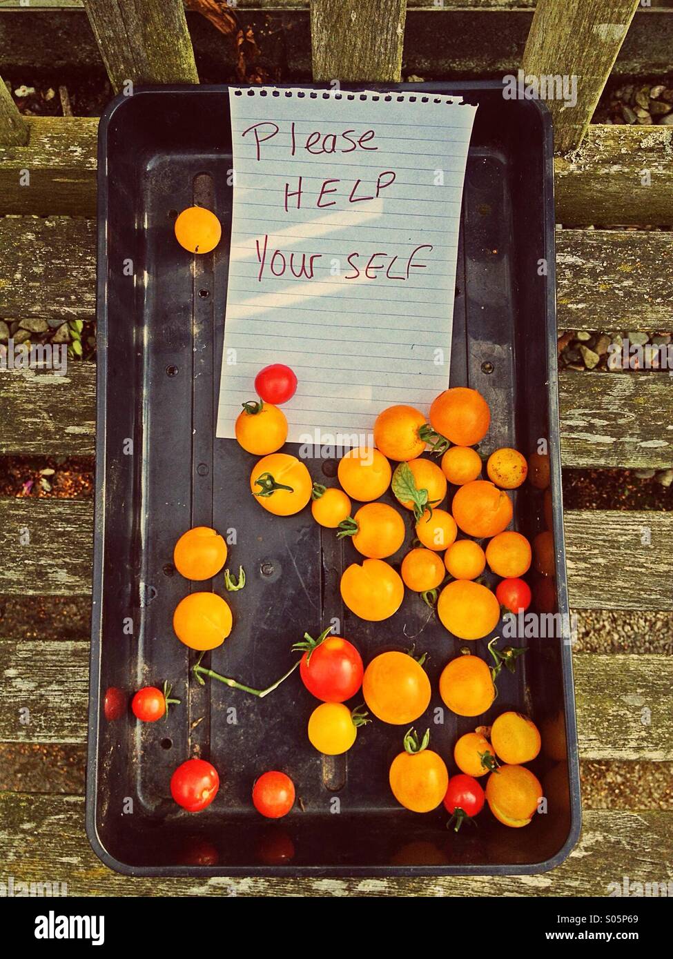 Please help yourself sign on tomatoes Stock Photo - Alamy