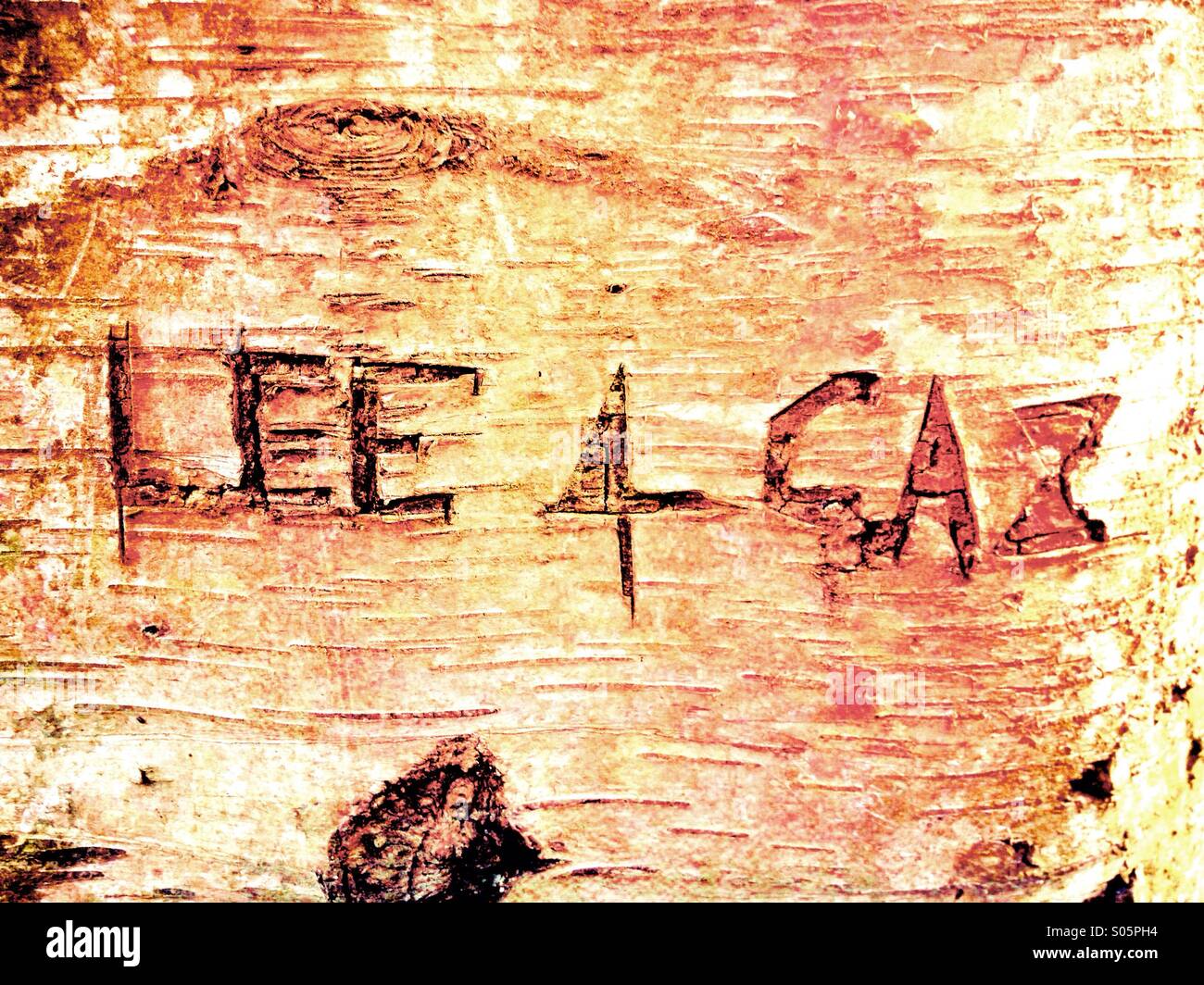 Tree engraving etching hi-res stock photography and images - Alamy