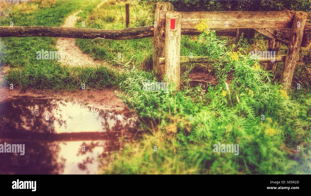 Wooden barrier in the forest Stock Photo - Alamy