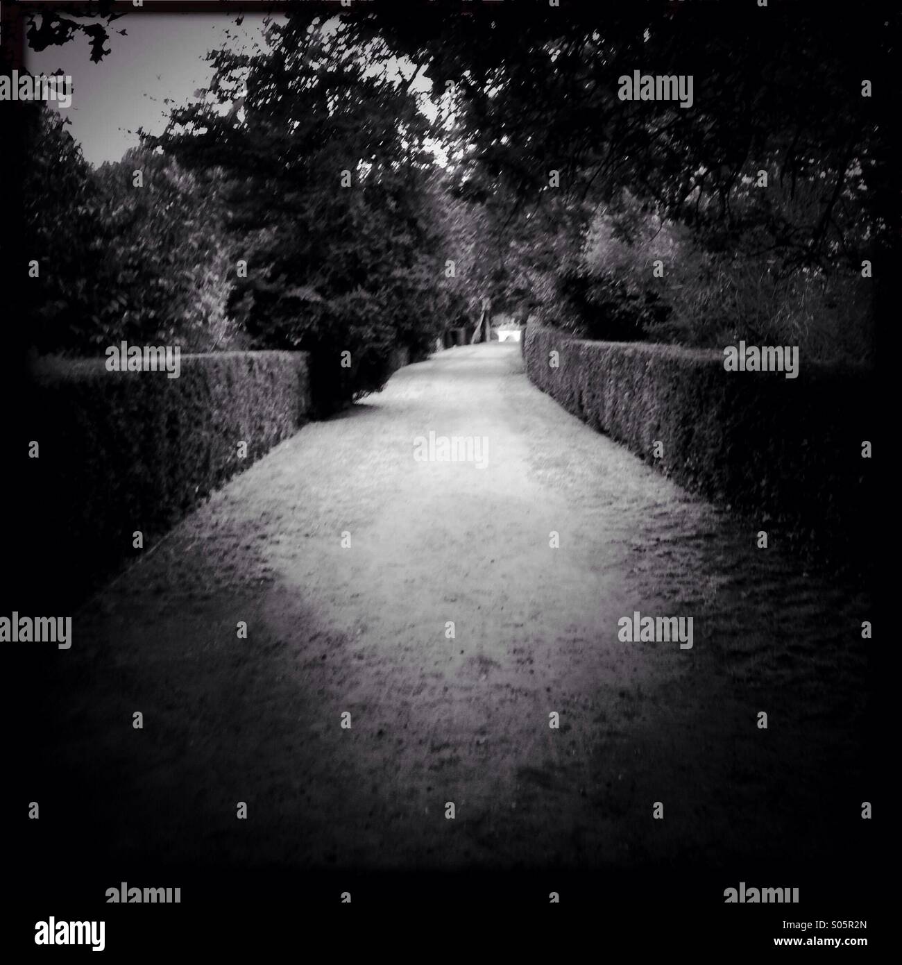 Dark path hi-res stock photography and images - Alamy