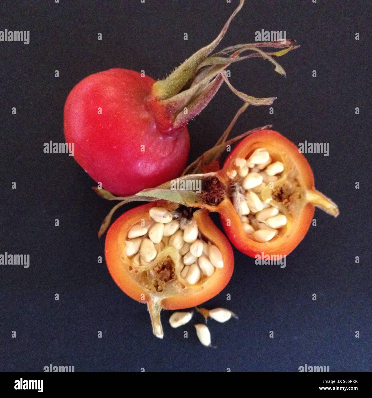 Rose hips seeds red hi-res stock photography and images - Alamy