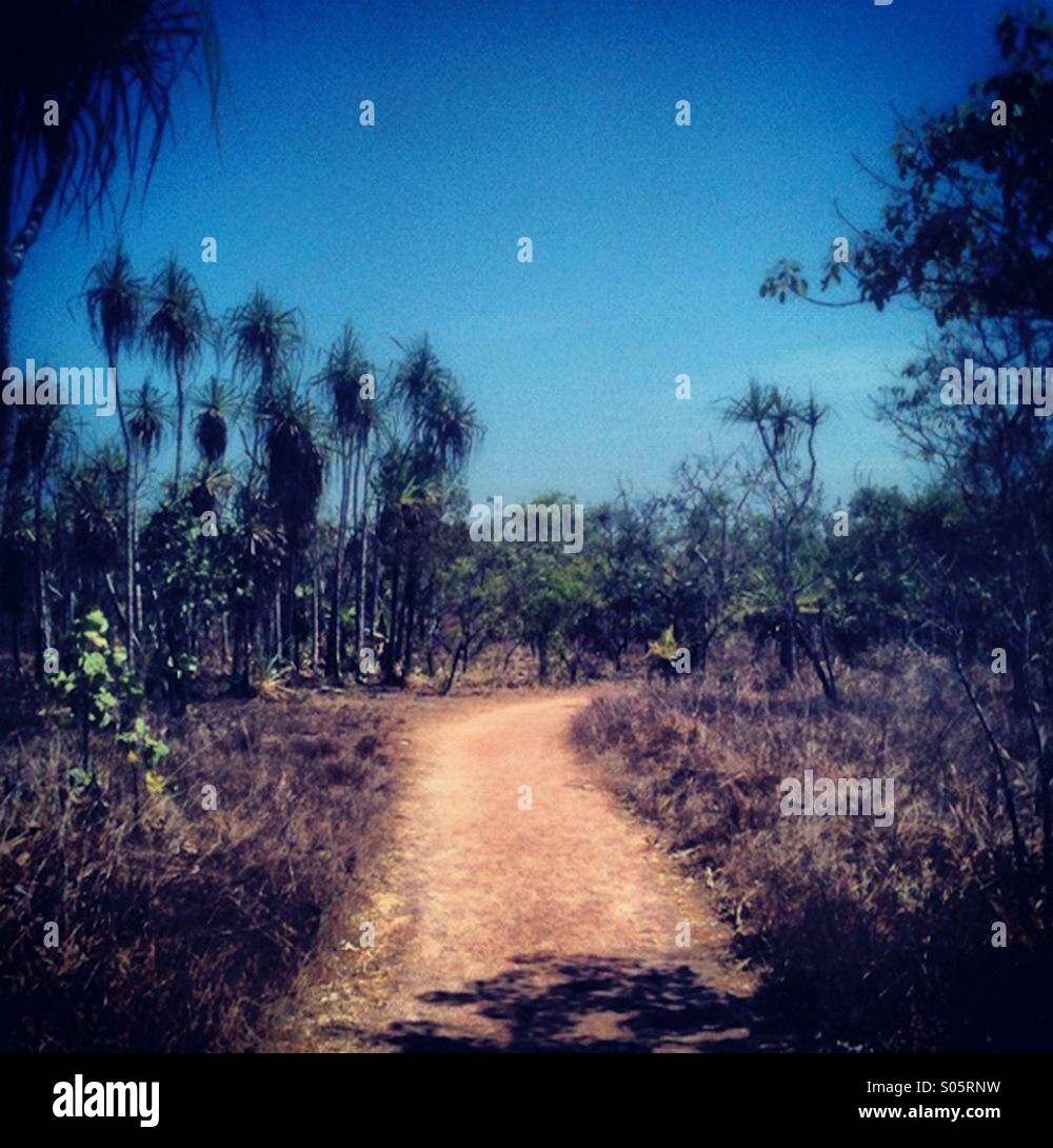 Path in outback Northern Territory, Australia Stock Photo - Alamy