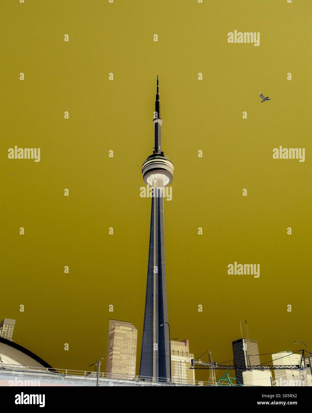 Cntower in downtown toronto hi-res stock photography and images - Alamy