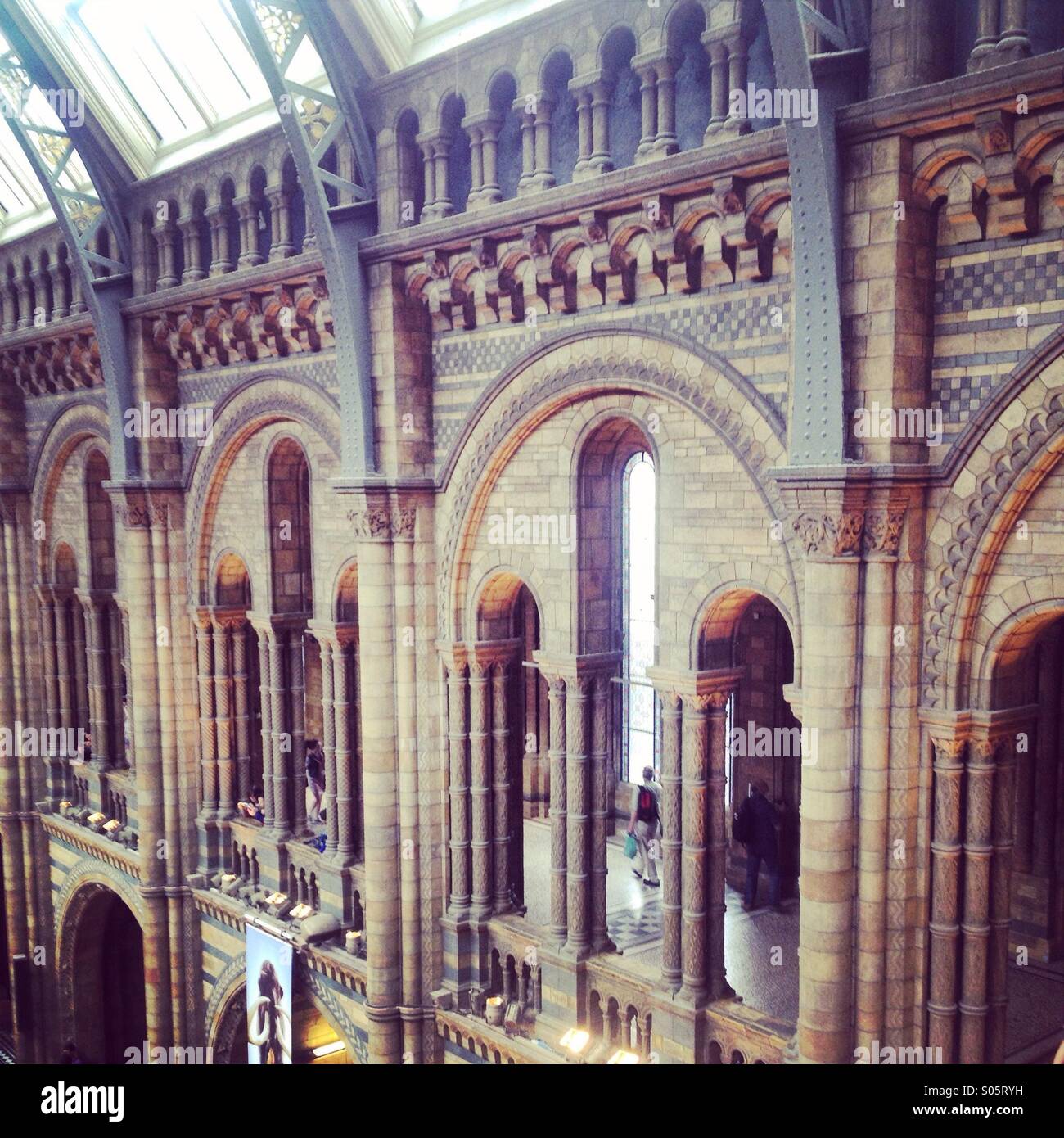 Inside the Natural History Museum London Stock Photo - Alamy