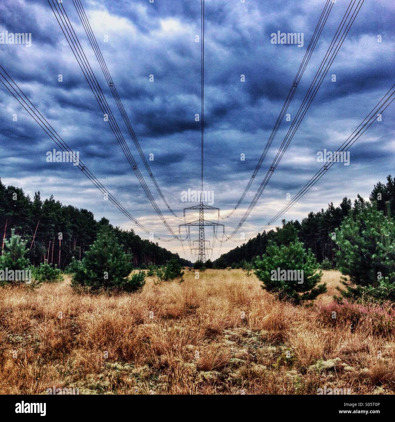 Power lines running through a forest Stock Photo - Alamy