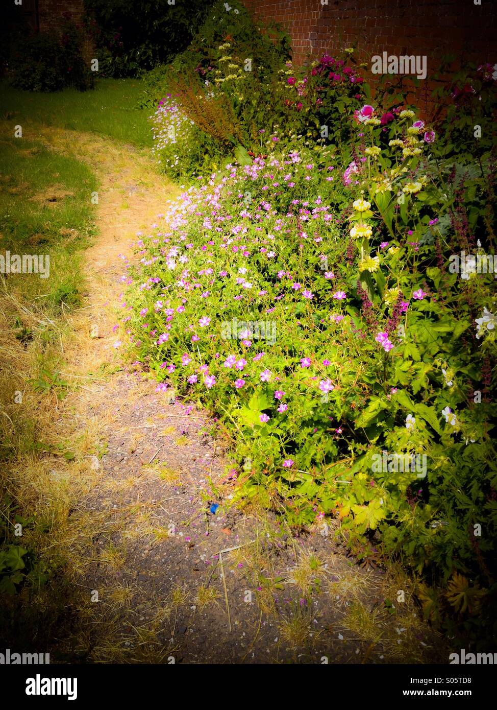 Cottage Garden Path High Resolution Stock Photography and Images - Alamy