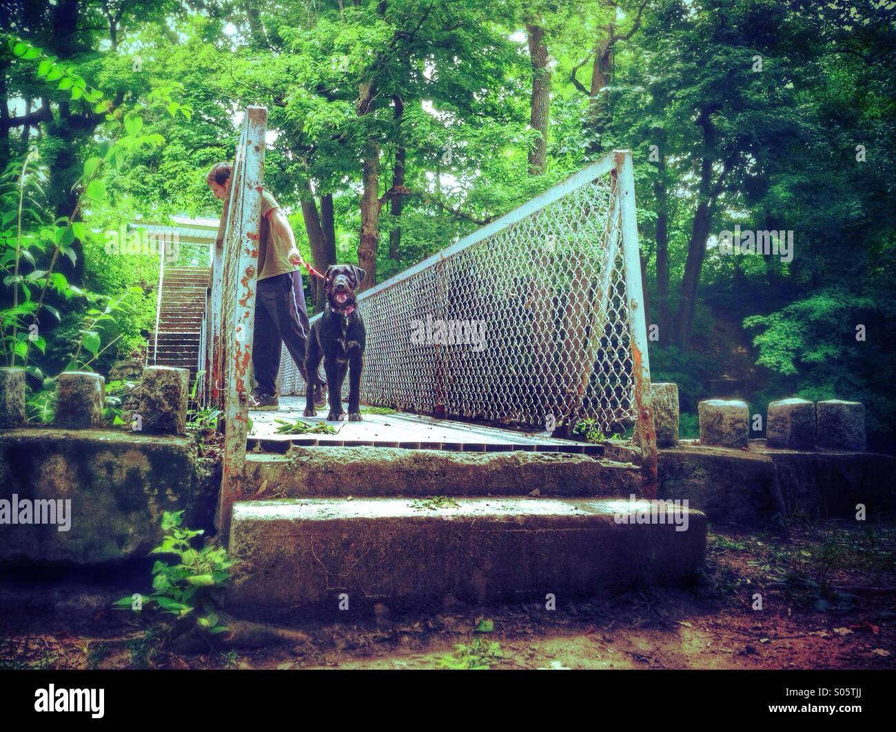 Woods crossing hi-res stock photography and images - Alamy