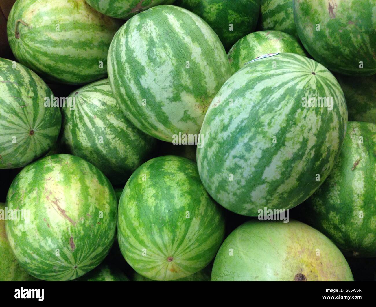 Watermelon harvest hi-res stock photography and images - Alamy
