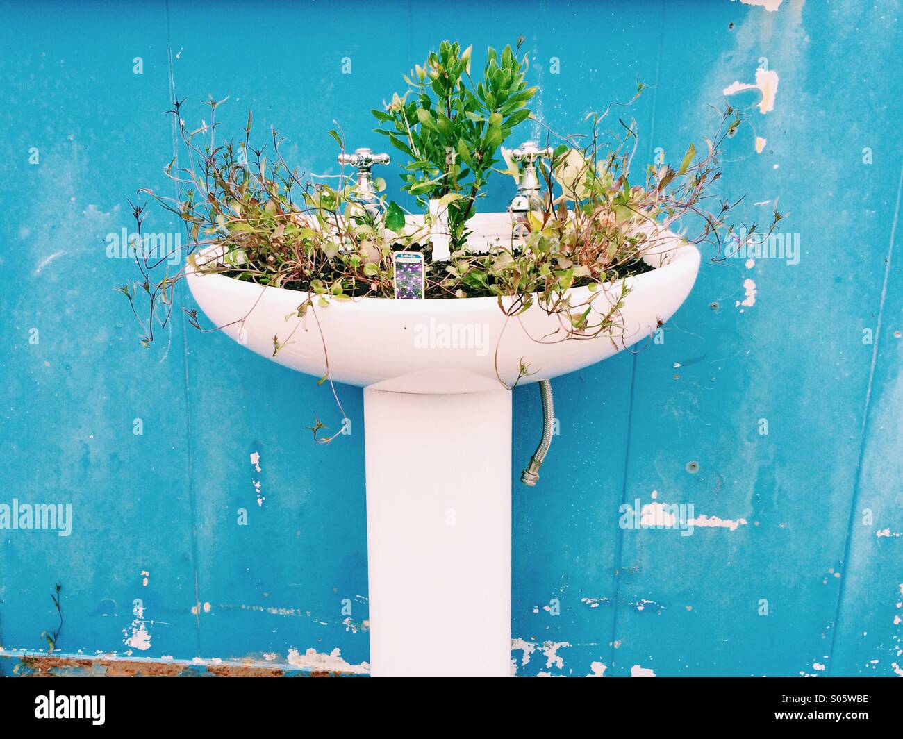 Sink Garden Stock Photos & Sink Garden Stock Images - Alamy