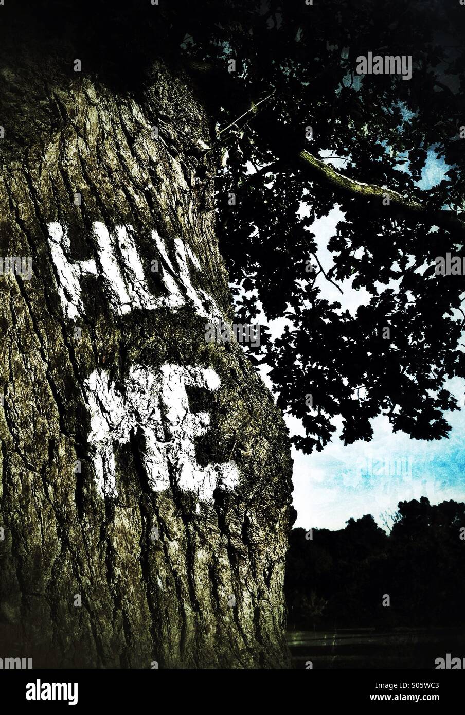 Tree with Hug Me graffitied on it in paint Stock Photo - Alamy