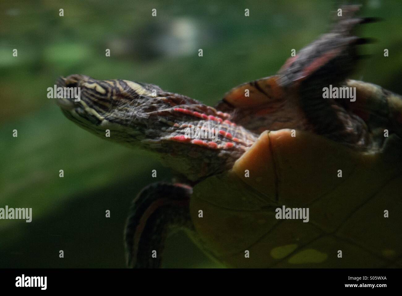 Bend of the neck hi-res stock photography and images - Alamy