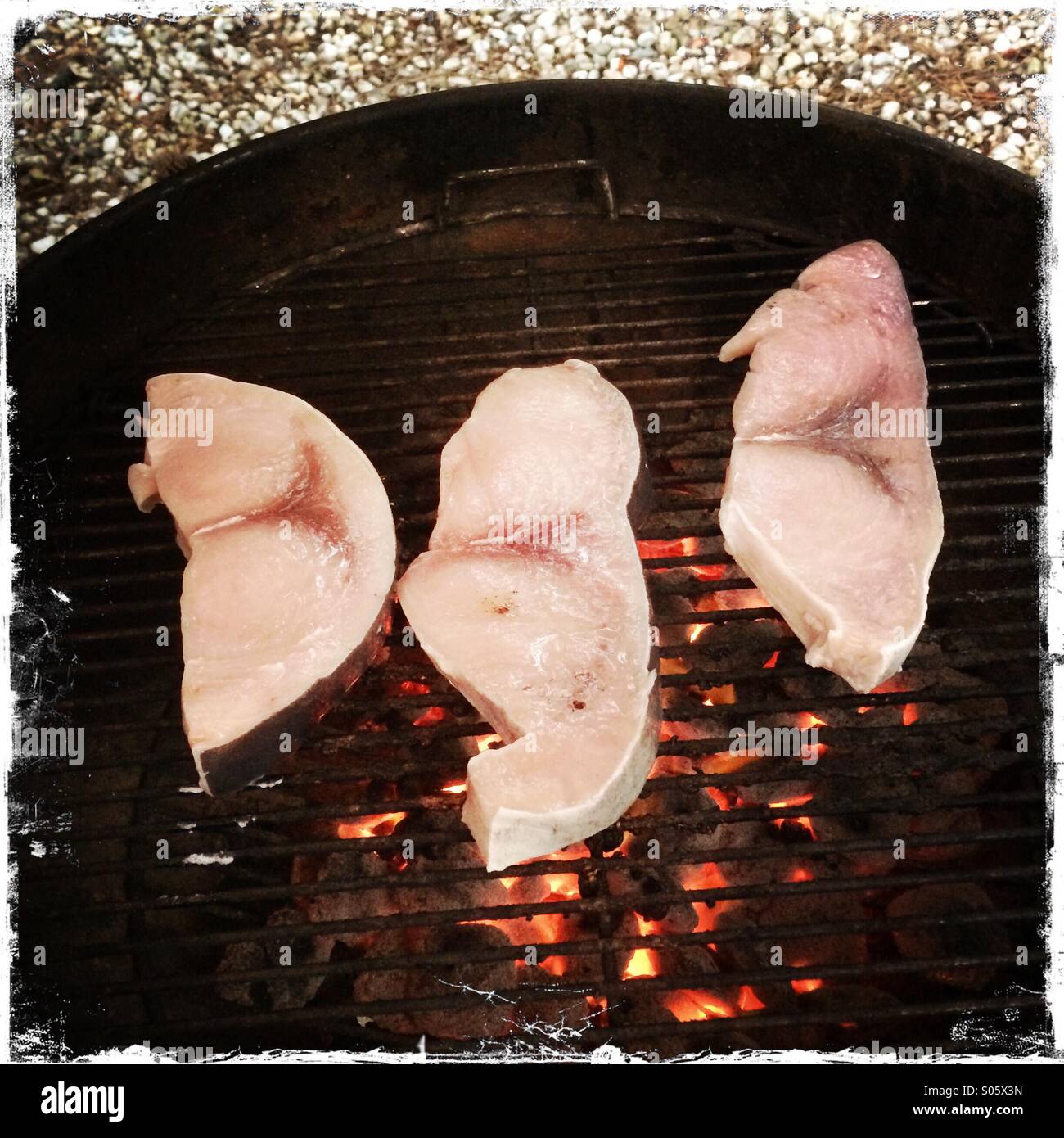 The sword fish hi-res stock photography and images - Alamy