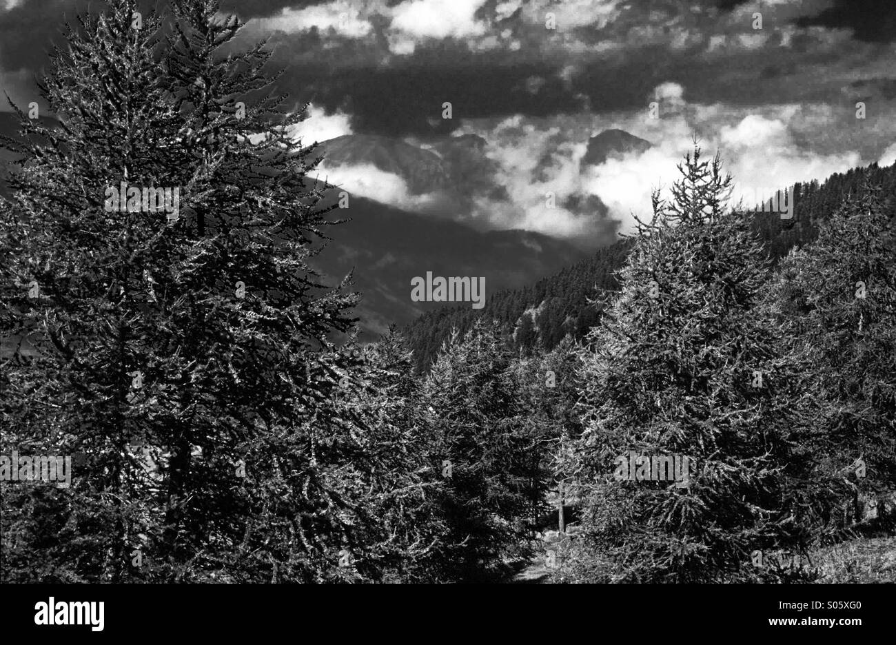 Alp scenery Black and White Stock Photos & Images - Alamy