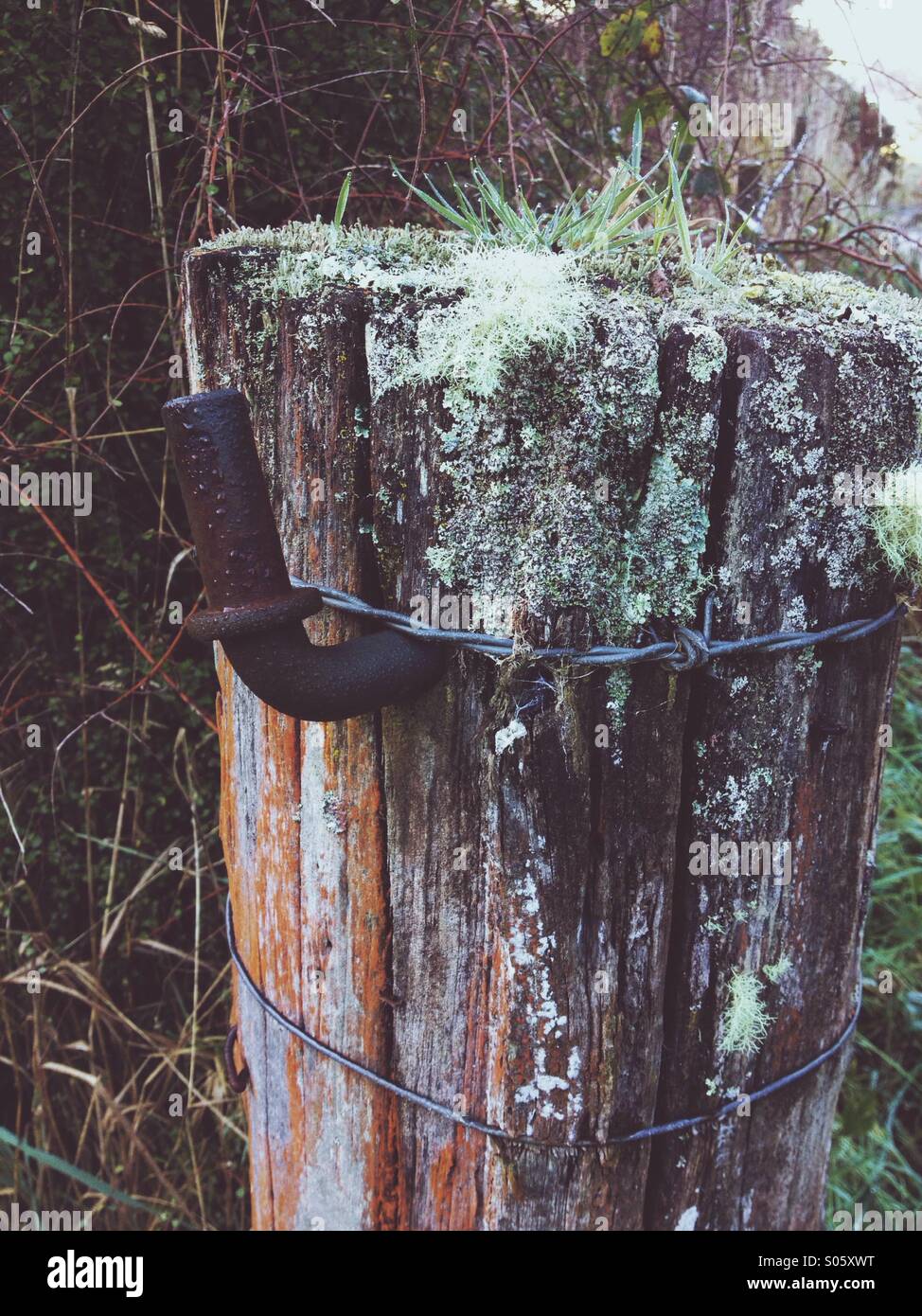 Weathered old wooden fence post with barbed wire hi-res stock ...