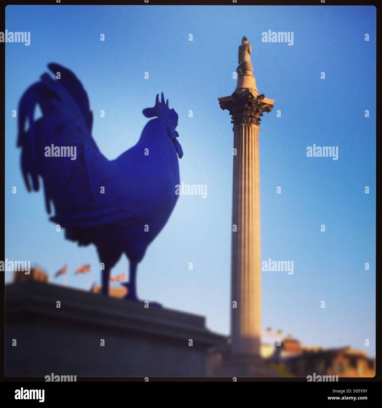 Blue Cockerel Trafalgar Square High Resolution Stock Photography and ...