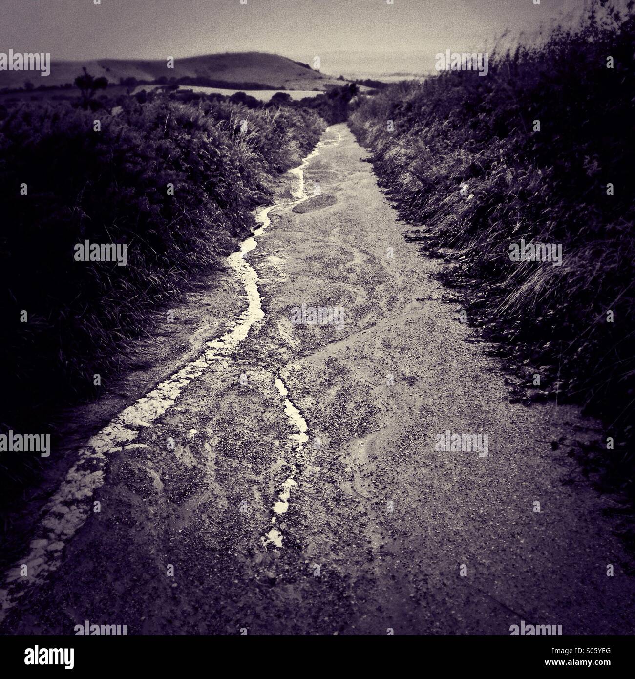 The way ahead - water runs down a newly surfaced path, exposing the ...
