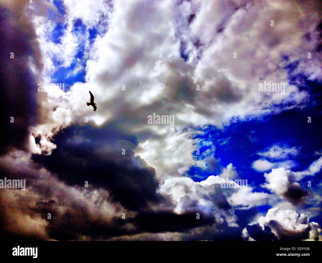 Sky skyscape storm hi-res stock photography and images - Alamy