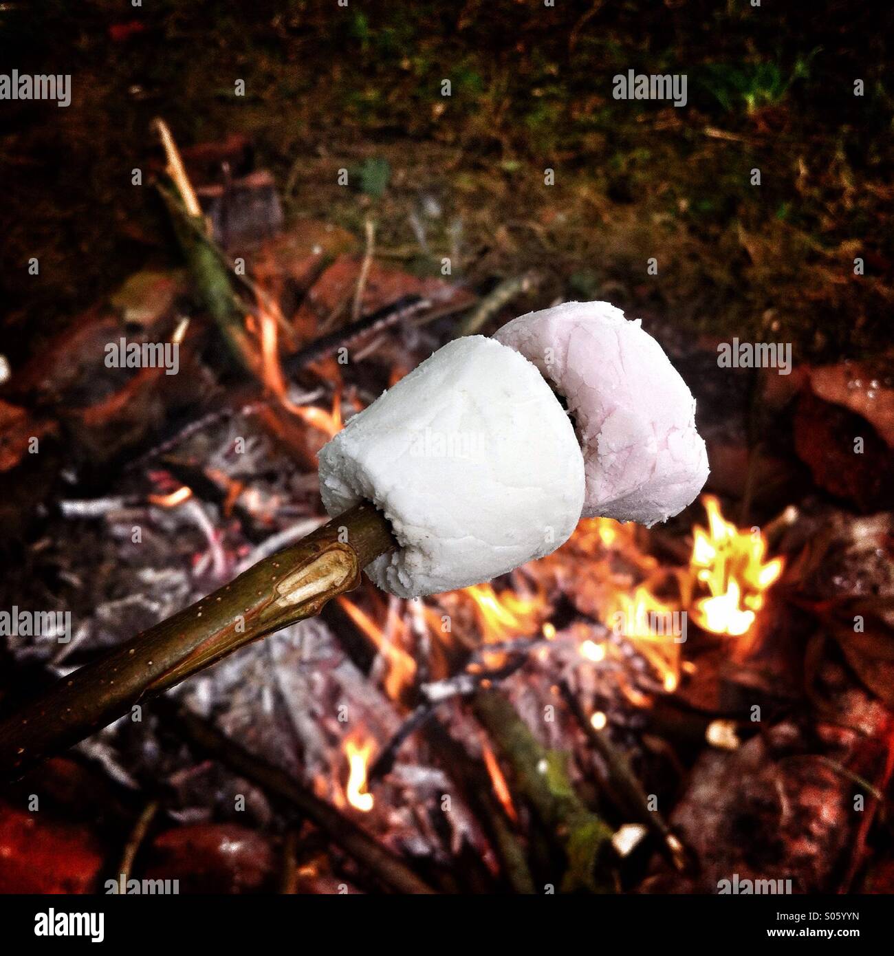 Roasting marshmallows on camp hi-res stock photography and images - Alamy