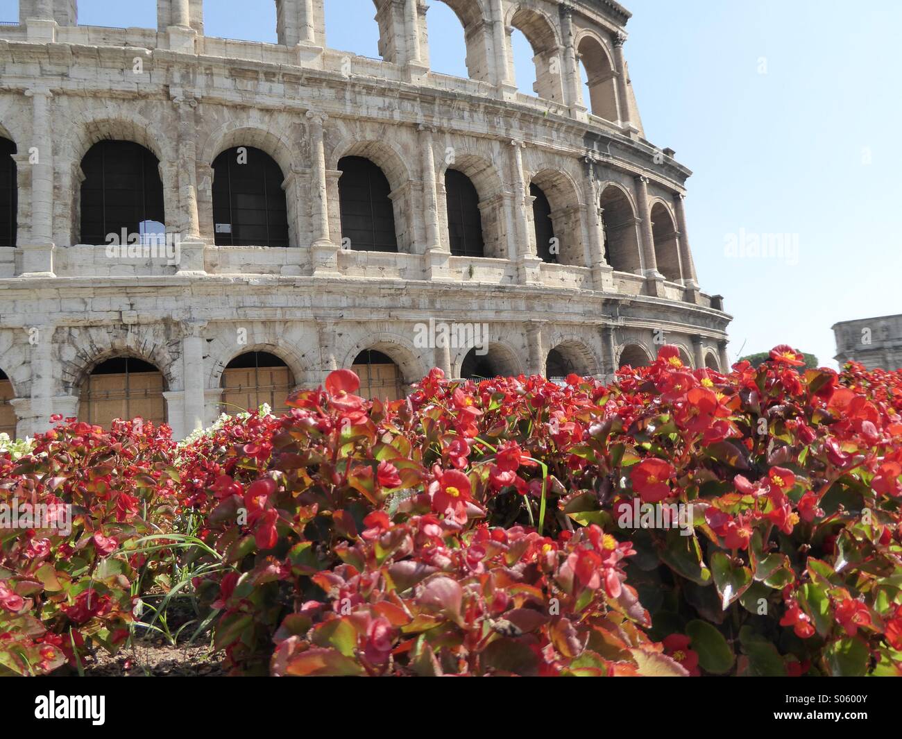 Roman colosseum flowers hi-res stock photography and images - Alamy