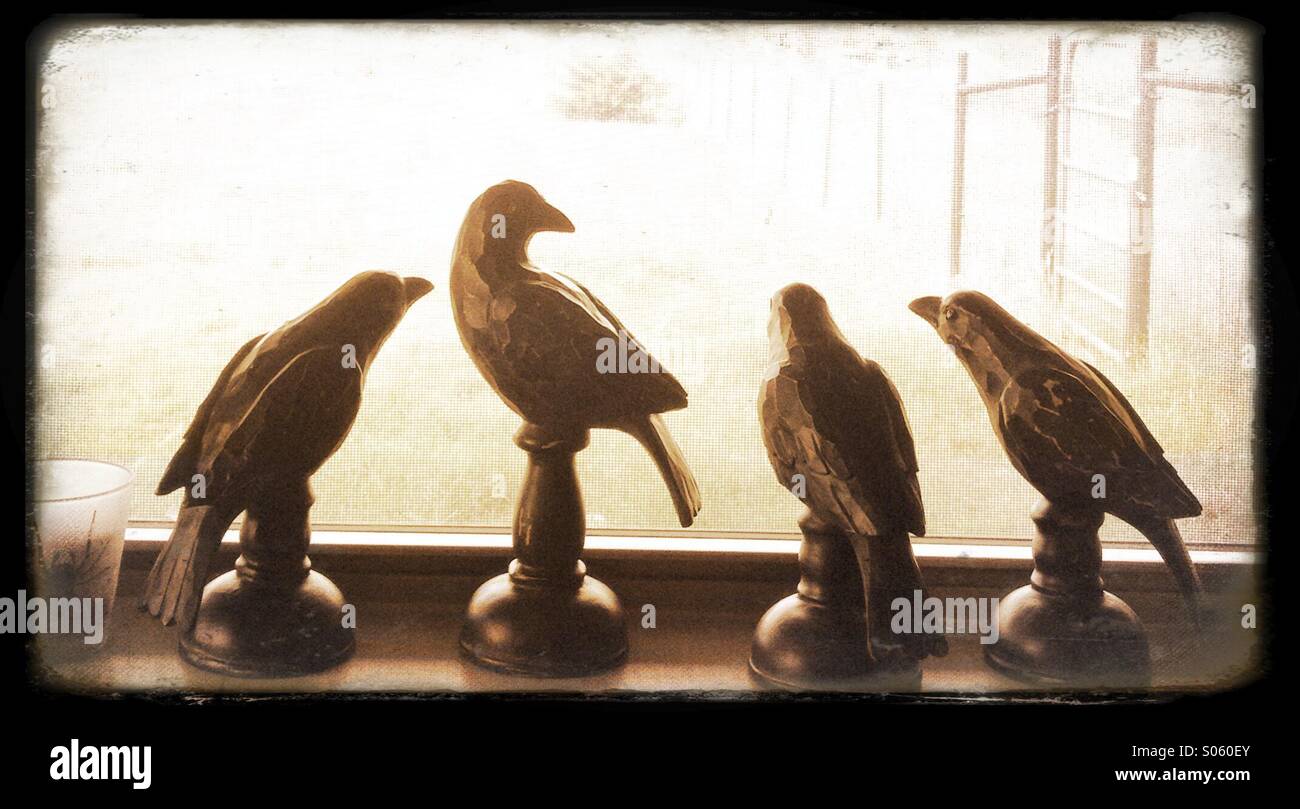 Ravens by the Window Stock Photo - Alamy