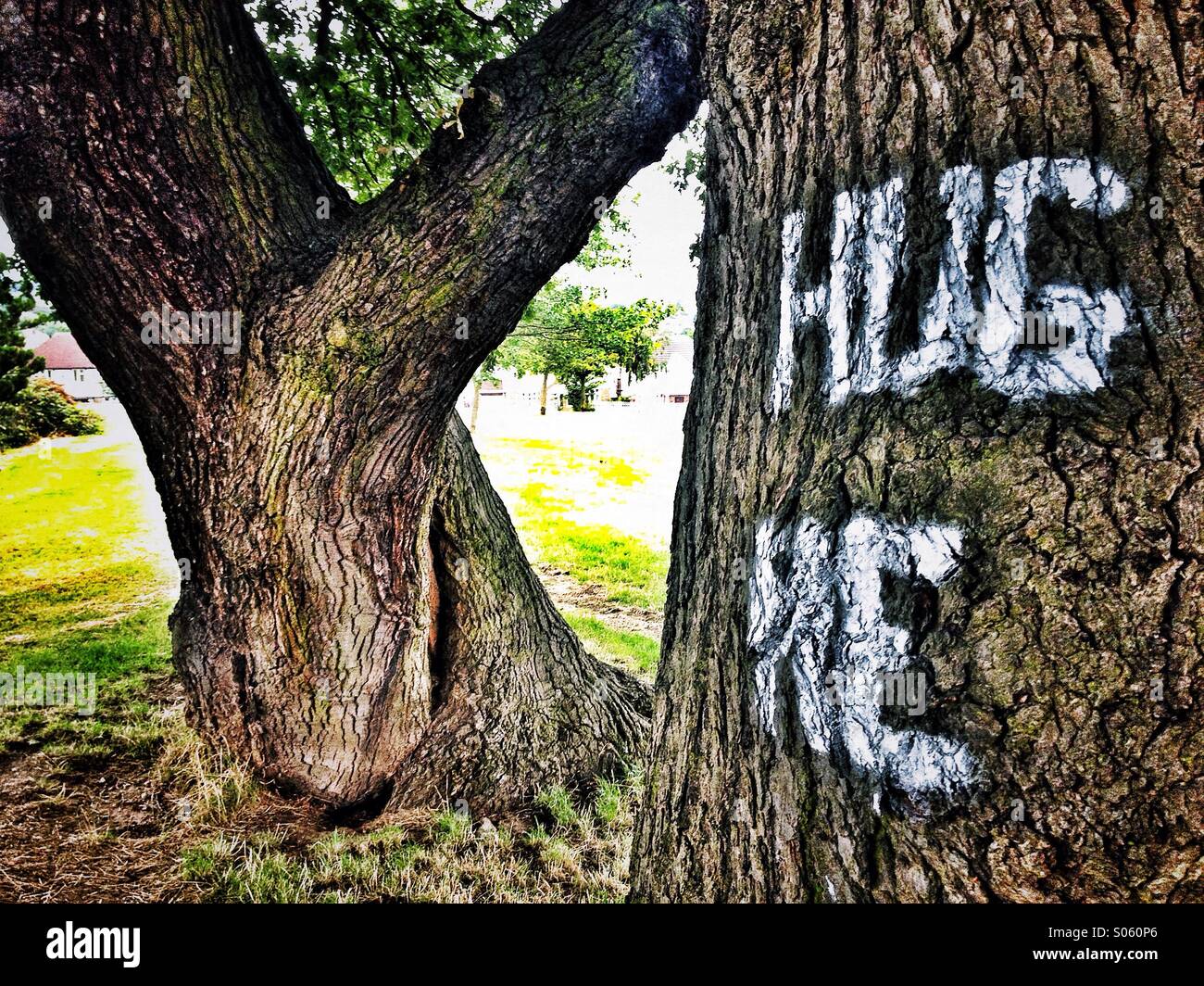 Trees with hug me graffitied on one Stock Photo - Alamy