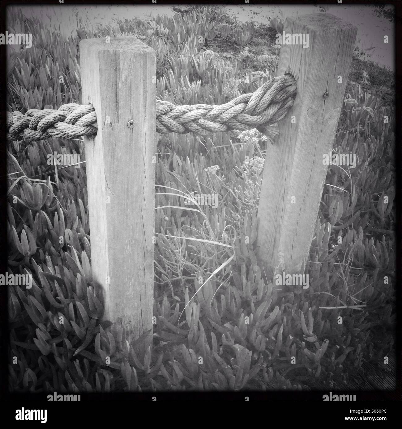 Sailor rope hi-res stock photography and images - Alamy