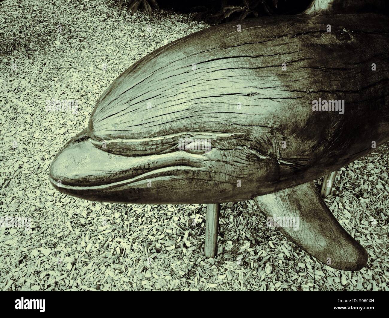 Dolphin dolphin dolphin dolphin face hi-res stock photography and ...