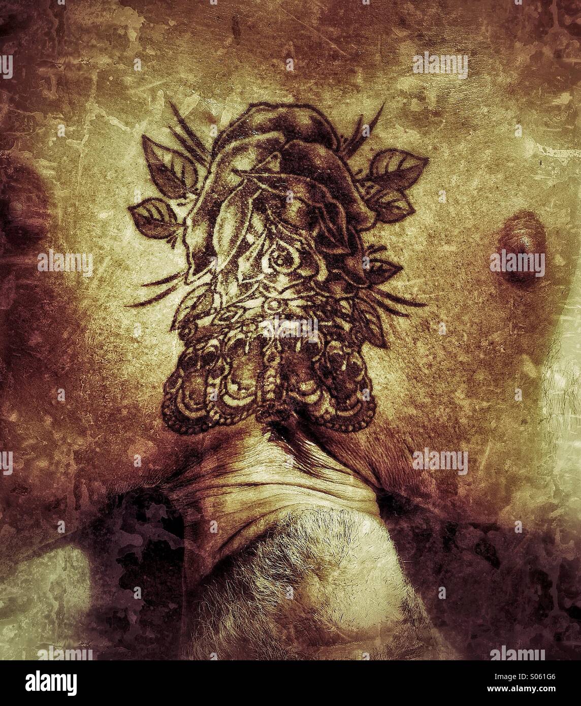 Radical man hi-res stock photography and images - Alamy