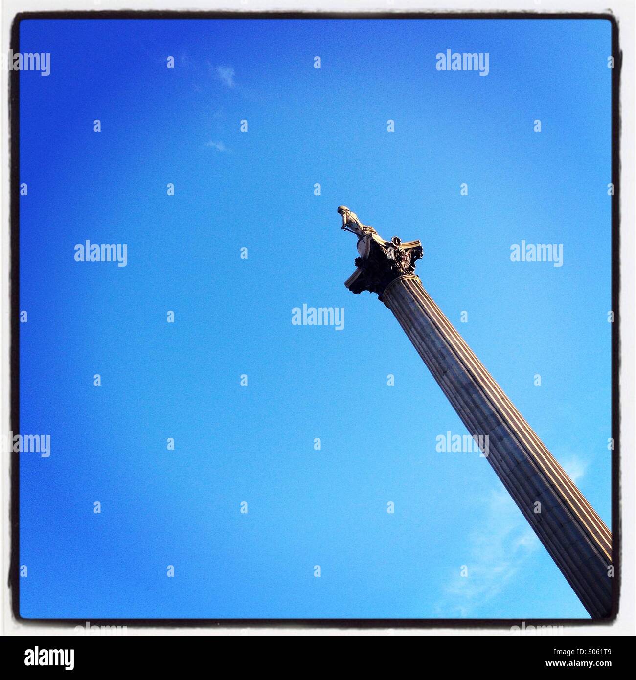 Nelson and his Column Stock Photo - Alamy Nelson and his Column Stock Photo - Alamy