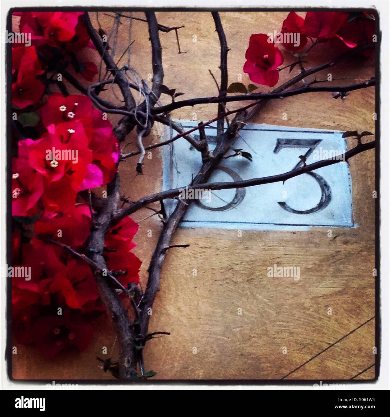 Flowers numbers hi-res stock photography and images - Alamy